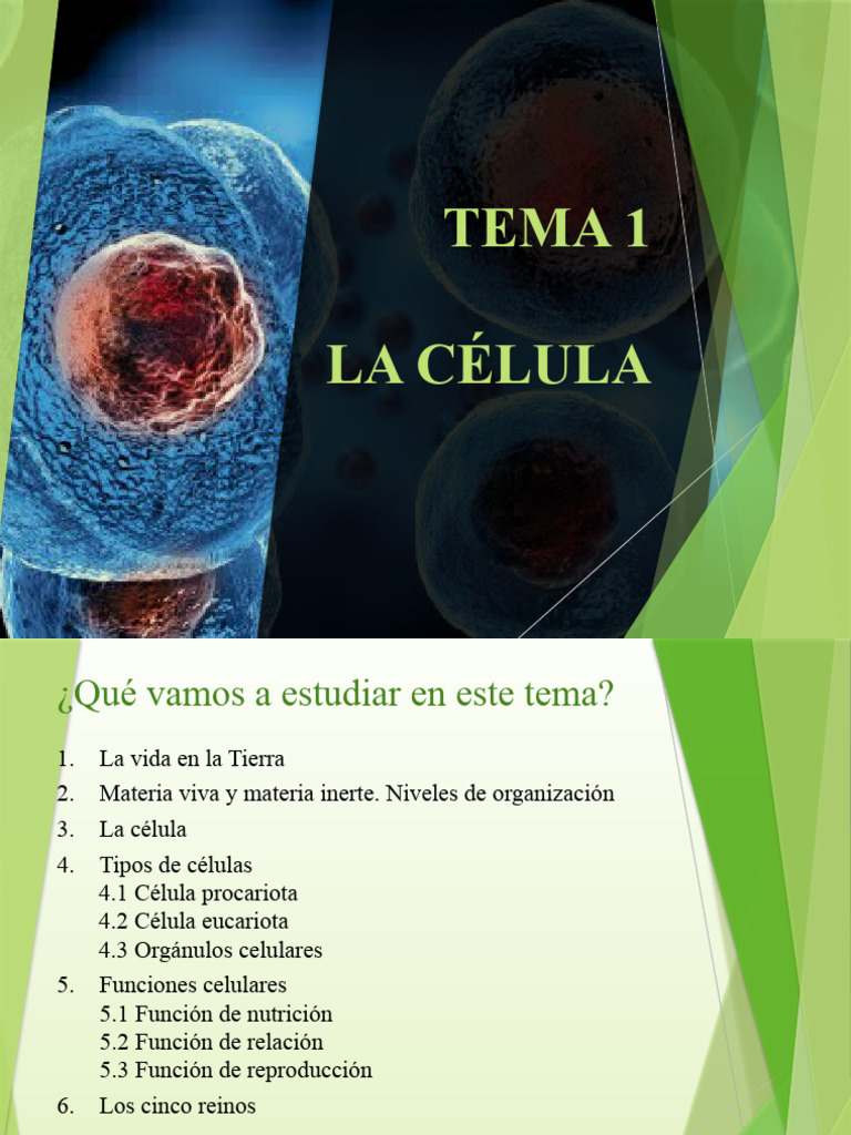 T1_La célula (1) | Descargar gratis PDF | Biología Celular) | Citoplasma