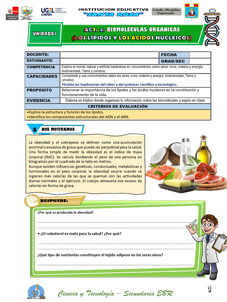 D4º ACT 4-CYT-U1 | Descargar gratis PDF | Lípido | Rna
