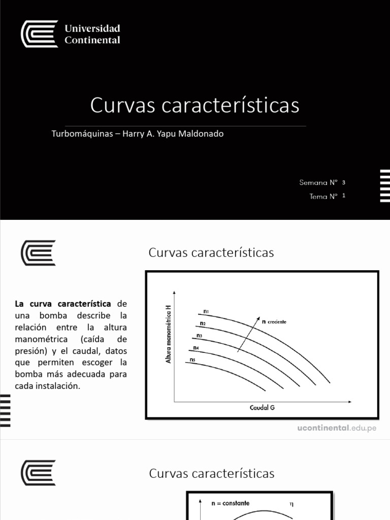 Curvas Características de Bombas | PDF