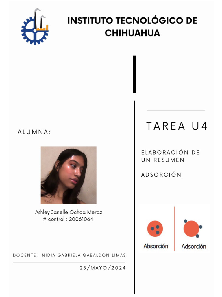 Resumen-Ashley Ochoa | PDF | Adsorción | Sustancias químicas