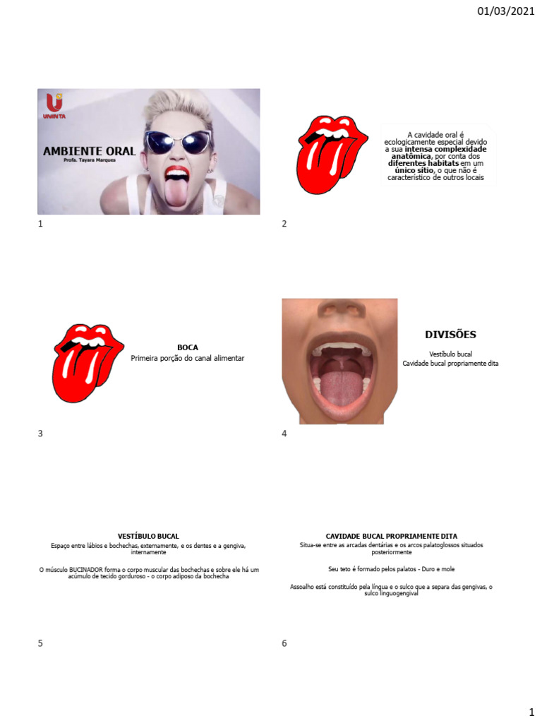Estrutura da Cavidade Oral e Dentes | PDF | Língua | Boca