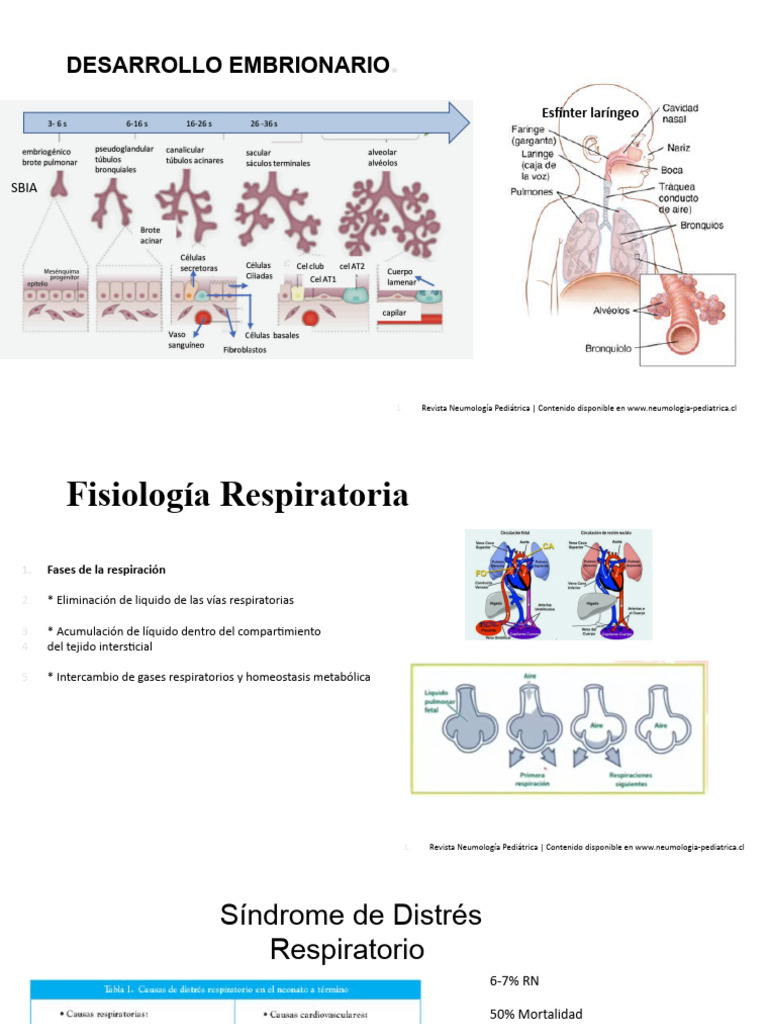 Distres Respiratoio 123 - 080836 | PDF | Fisiología | Neumología