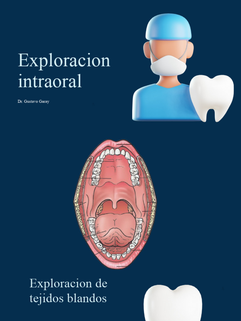 10.-Exploracion intraoral | Descargar gratis PDF | Lengua | Anatomía humana