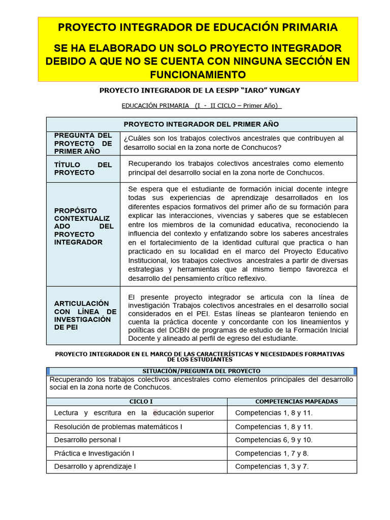 Proyecto Integrador Educación Primaria | PDF | Aprendizaje | Maestros