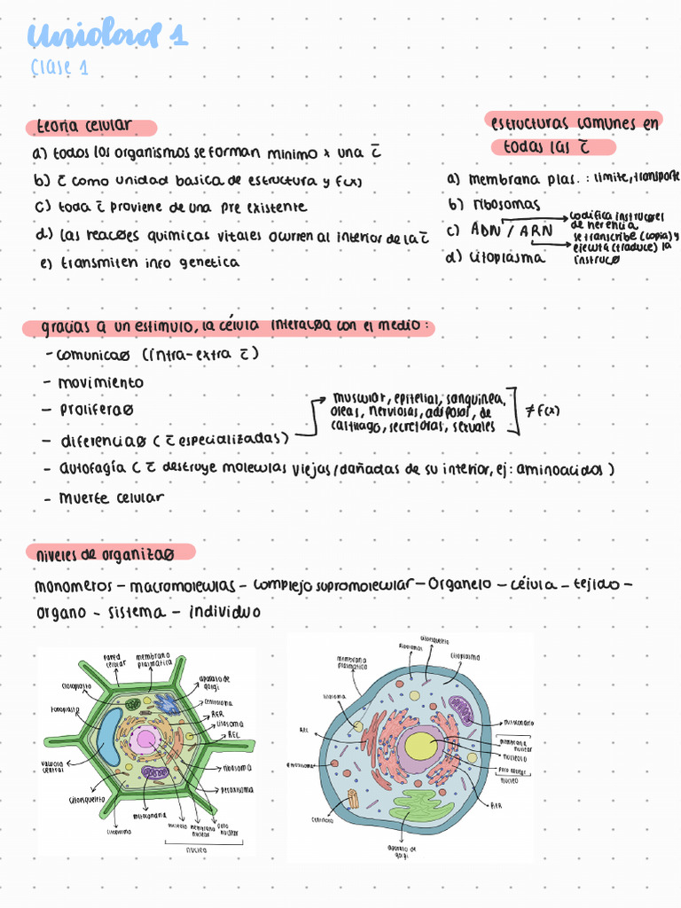 Clases Biocel | PDF