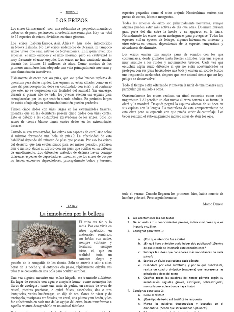 LOS ERIZOS La Inmolacion Por La Belleza Marco Denevi | PDF