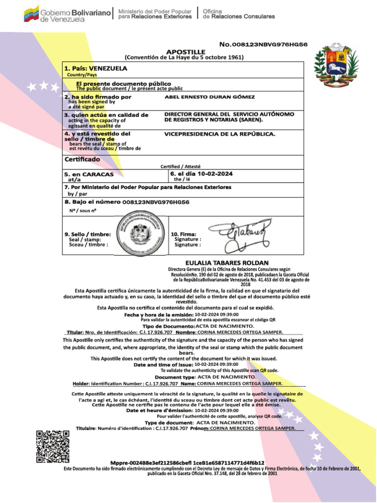 Corina 1 | PDF | Tecnología