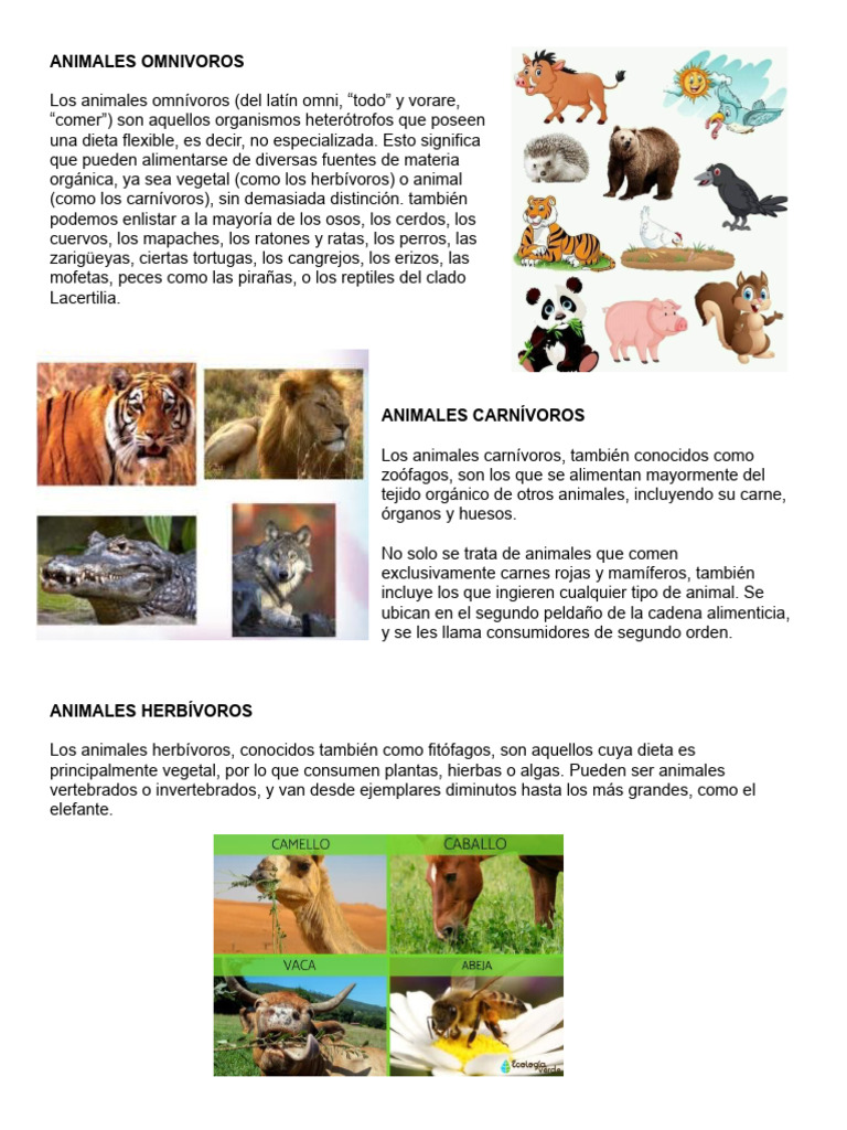 Animales Omnivoros | PDF | Ciencia y matemáticas | Hogar, jardinería y ...
