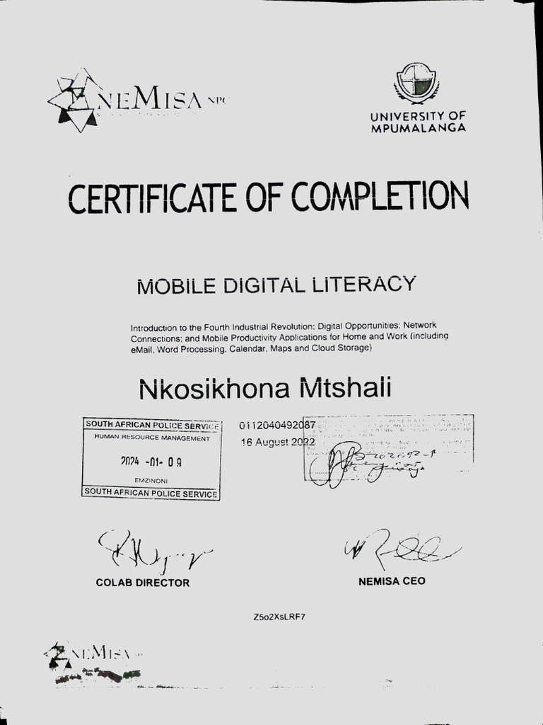 NEMISA | PDF