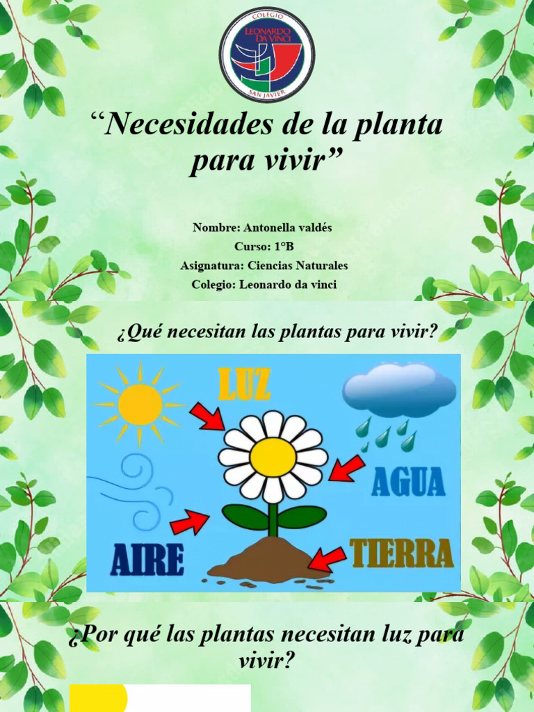 Necesidades Esenciales de las Plantas | PDF | Ciencia y matemáticas