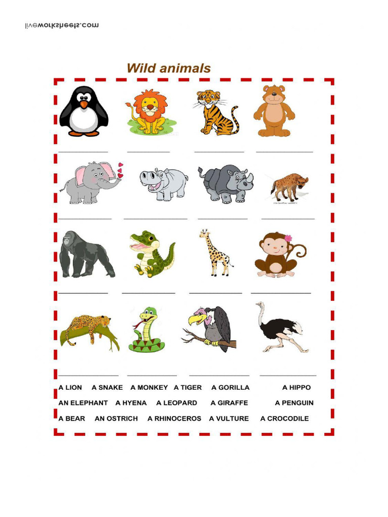Animalss | PDF