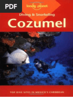 Douglas Sea Scale | PDF | Physical Oceanography | Scientific Phenomena