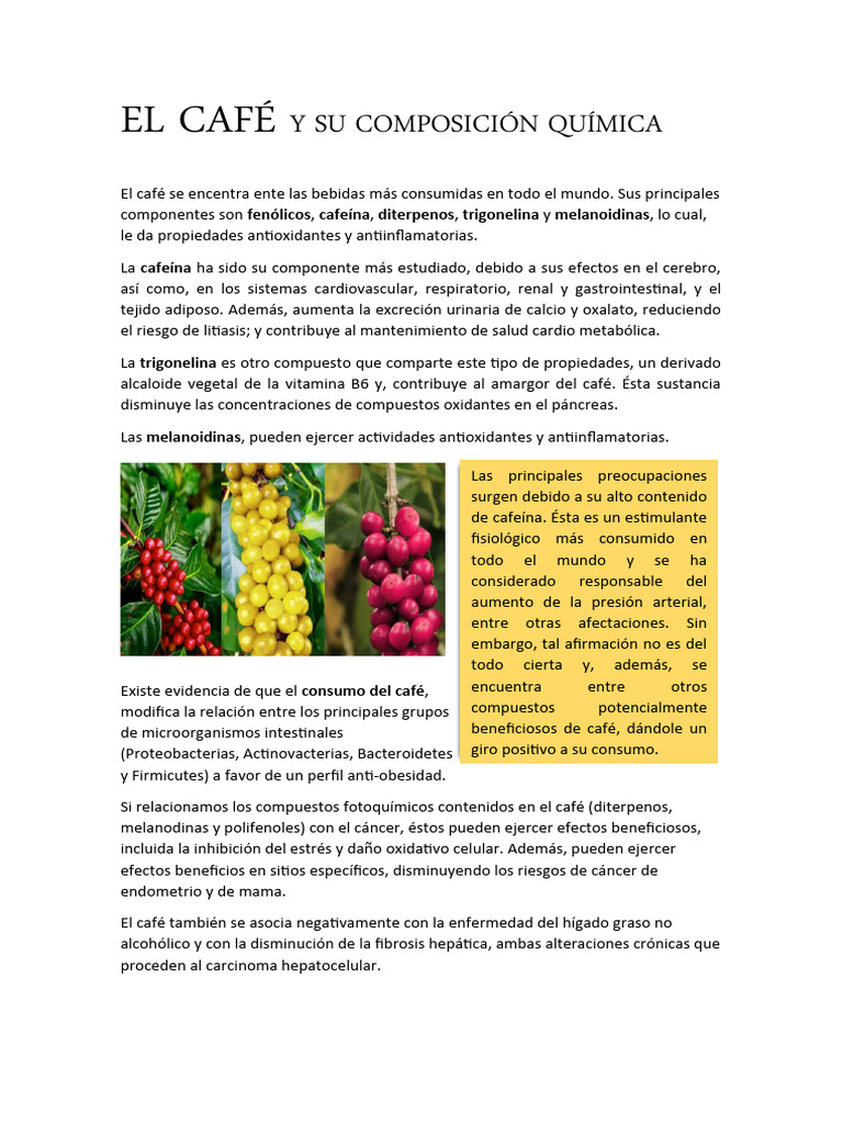 El Café y Su Composición Química | Descargar gratis PDF | café | Cafeína