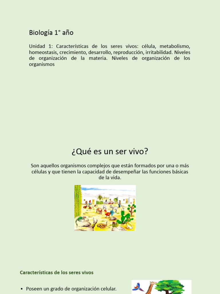 Caracter-Sticas de Los Seres Vivos | PDF | Metabolismo | Organismos