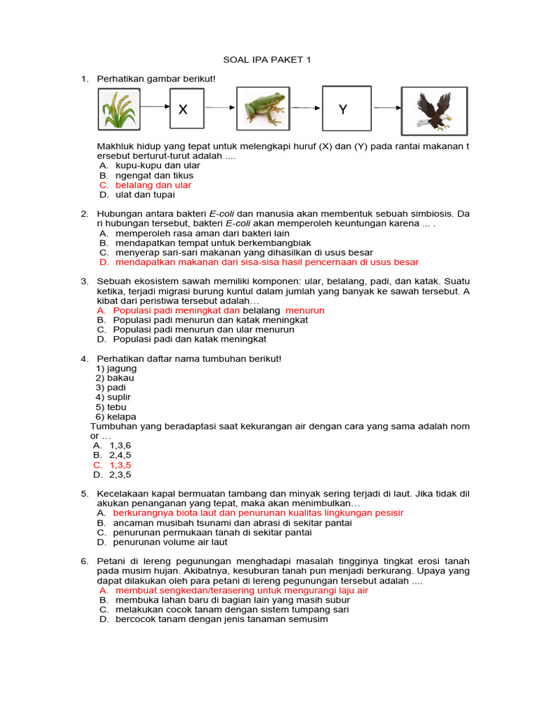 TPM LITERASI SAINS KAP 1 | PDF