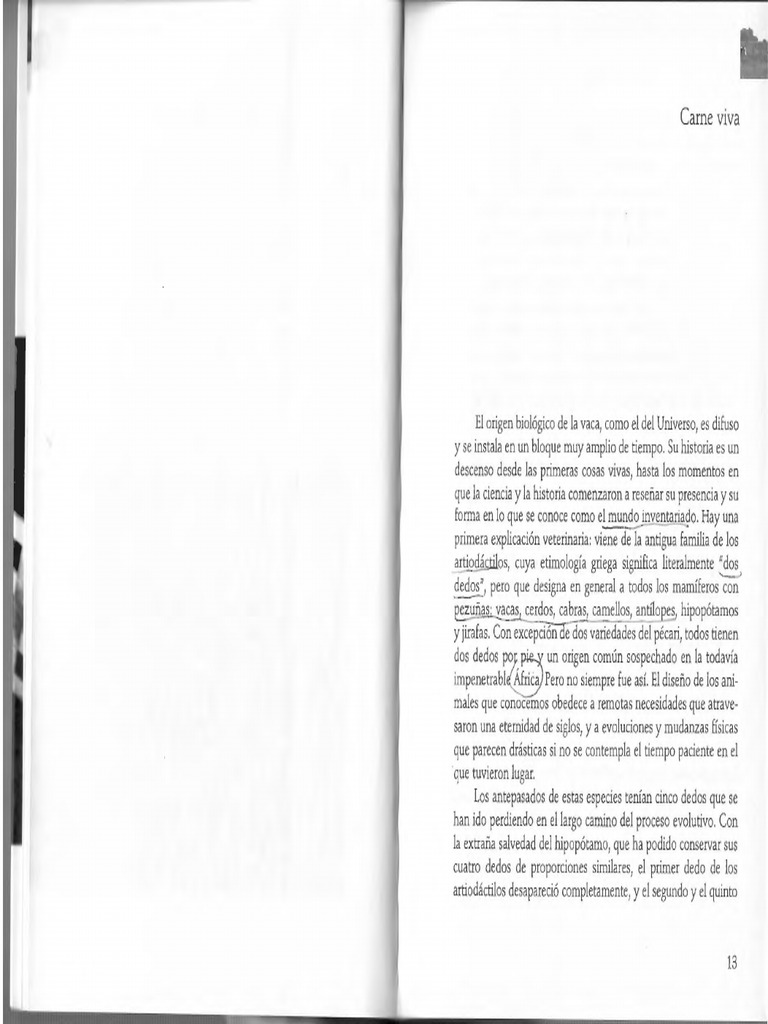 BECERRA J.J. La Vaca | PDF | Vacas