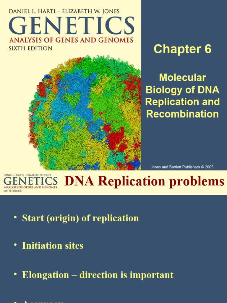 Chapter 06 A | PDF | Dna Replication | Dna