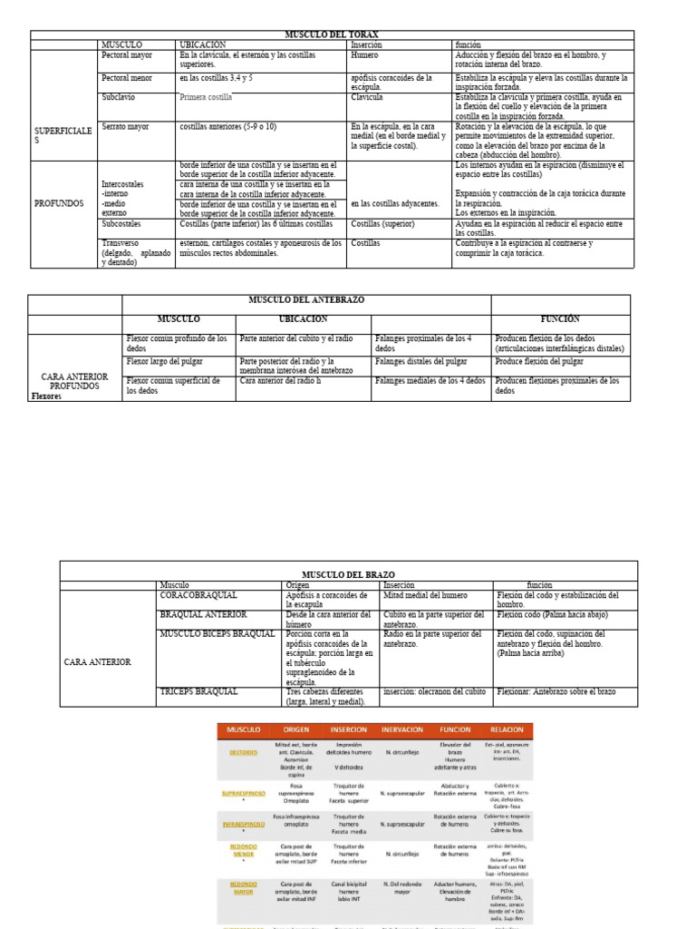 Micofitos | PDF | Pie | Codo