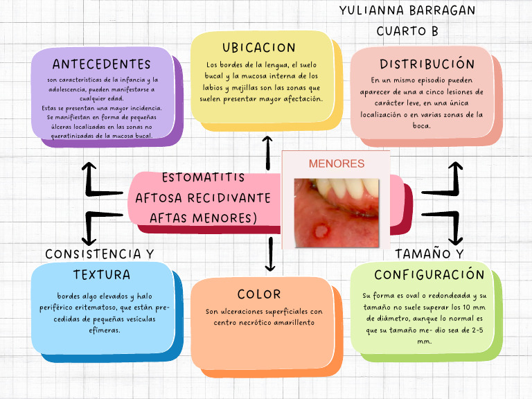 Mapa Conceptual Doodle A Mano Multicolor | PDF