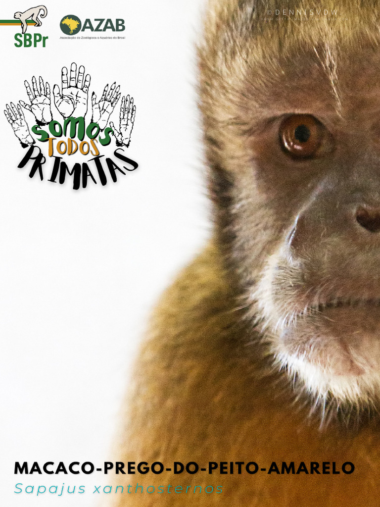 Conservação do Macaco-Prego-Amarelo | PDF