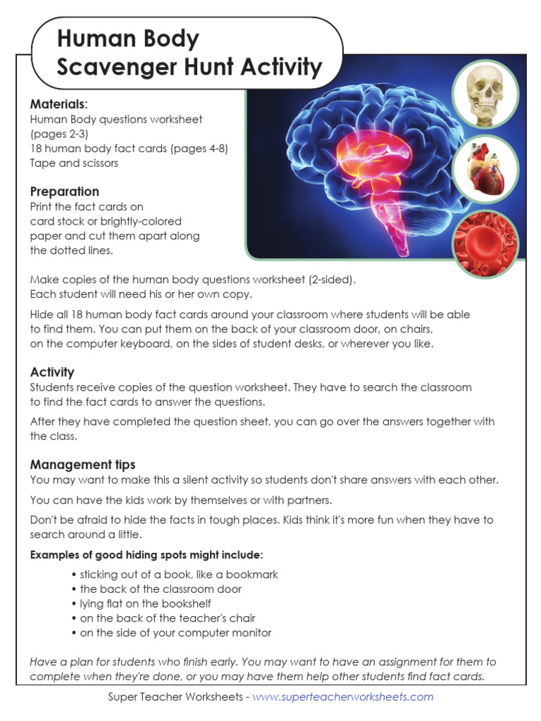 human-body-scav-hunt_WMTMT (1) | PDF | Human Body | Heart