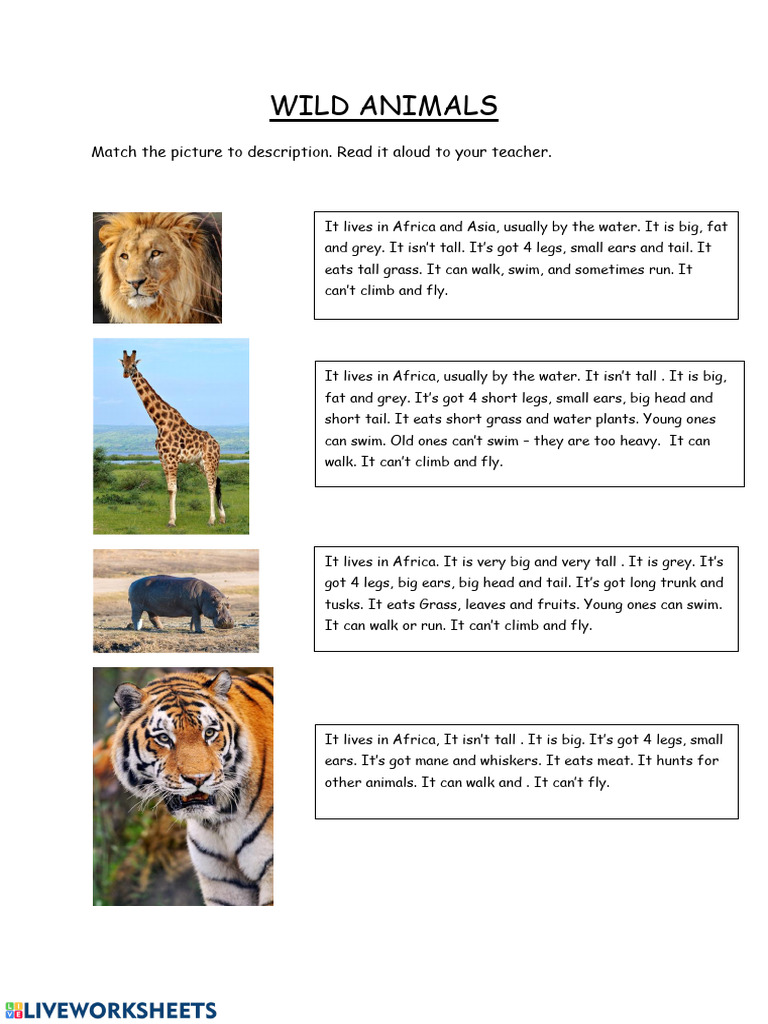 READING WILD ANIMALS | PDF