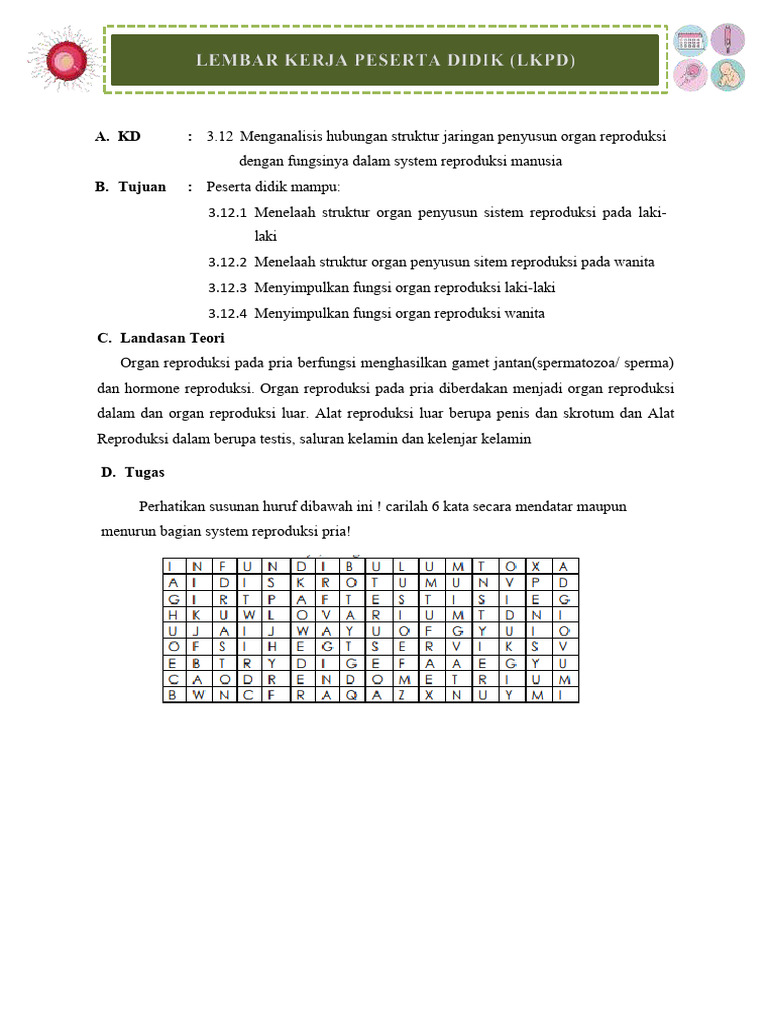 LKPD SIstem Reproduksi | PDF | Pengembangan Diri | Kesehatan Holistik