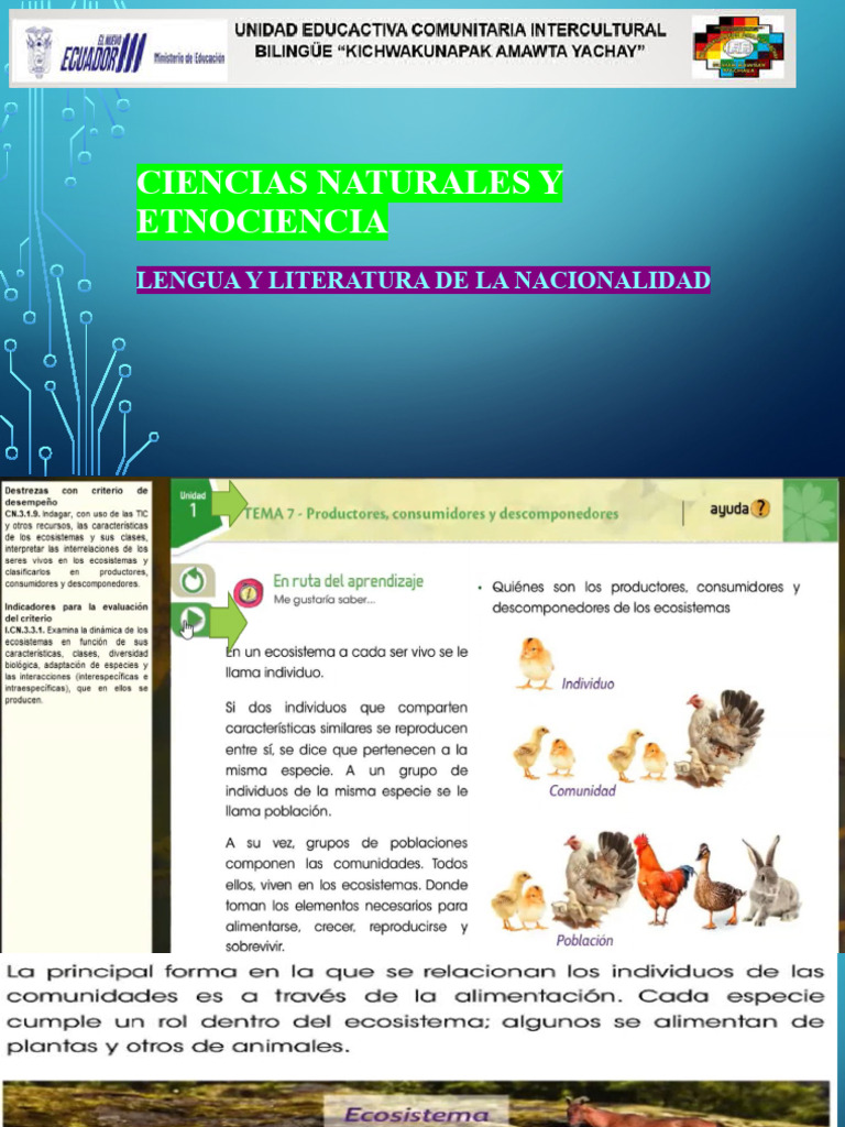 Teletrabajo CCNN 3 | PDF | Ecuador