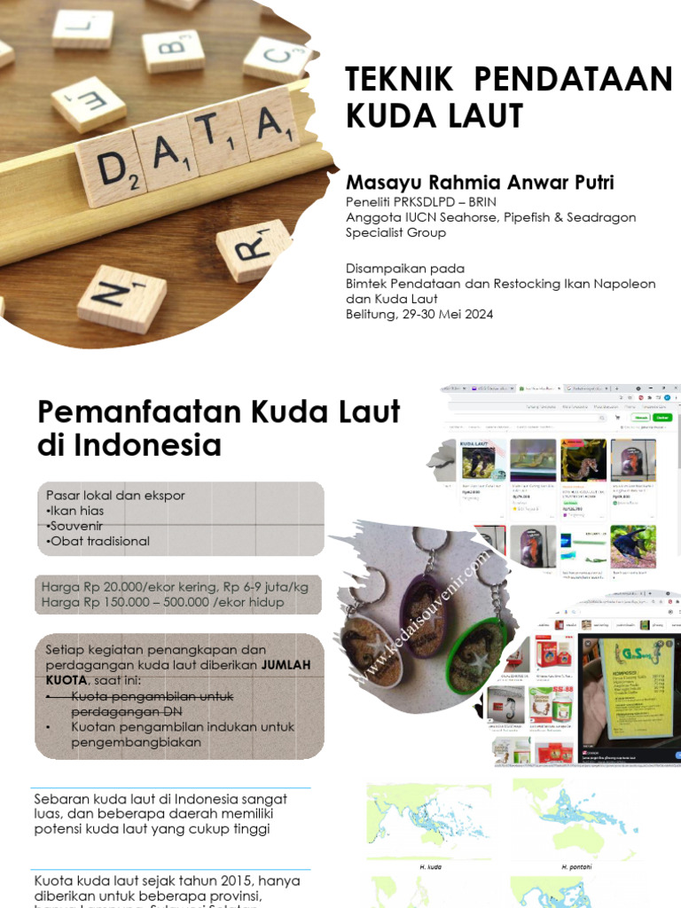 Presentation2 - TEKNIK PENDATAAN KUDA LAUT | PDF
