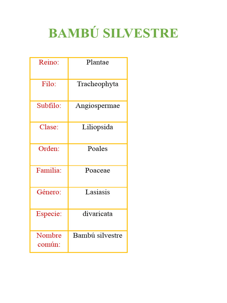 ALBUM | PDF | Plantas | Botánica