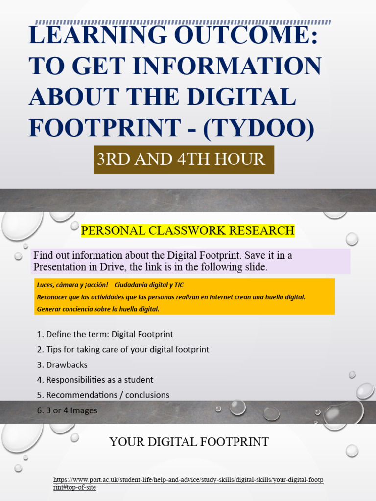 Week 2 - Digital Footprint - ST | PDF