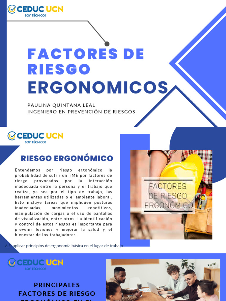 Factores de Riesgo Ergonómicos | PDF | Factores humanos y ergonomía
