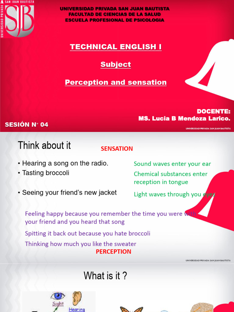 Class 4-Tech1-Psico - Perception and Sensation | PDF | Senses | Perception