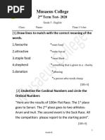 English Grade 6 Test Paper | PDF | Sharks