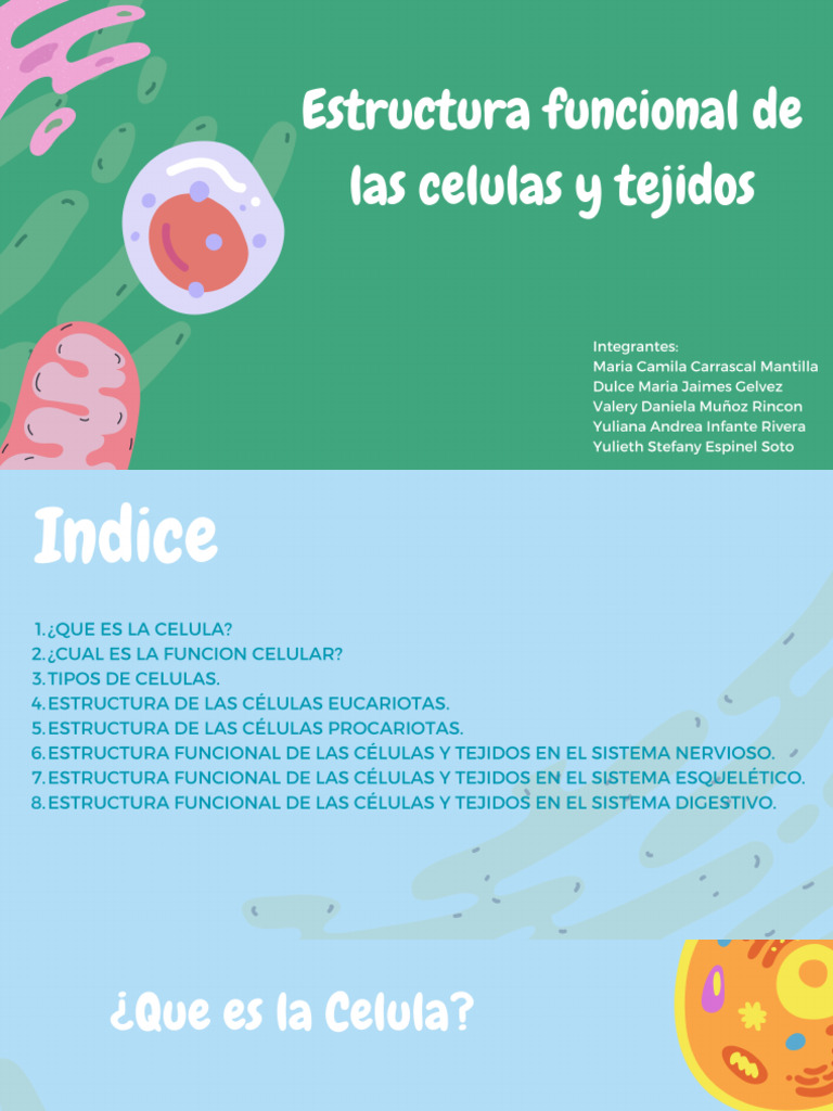 Estructura Funcional de Las Células y Tejidos. Sistema Nervioso. Sistema Esquelético. Sistema ...