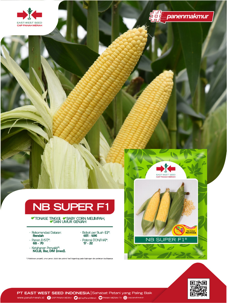 NB Super f1 Poster Products (Unchangeable) - 13 | PDF