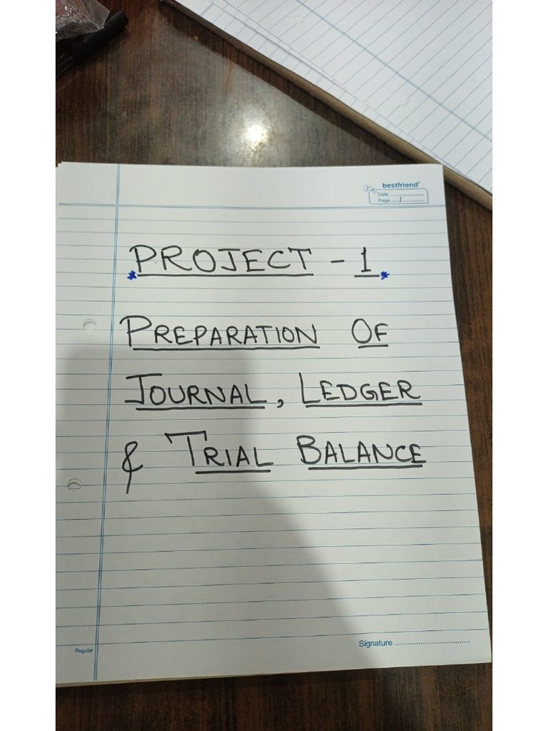 Accounts Project | PDF