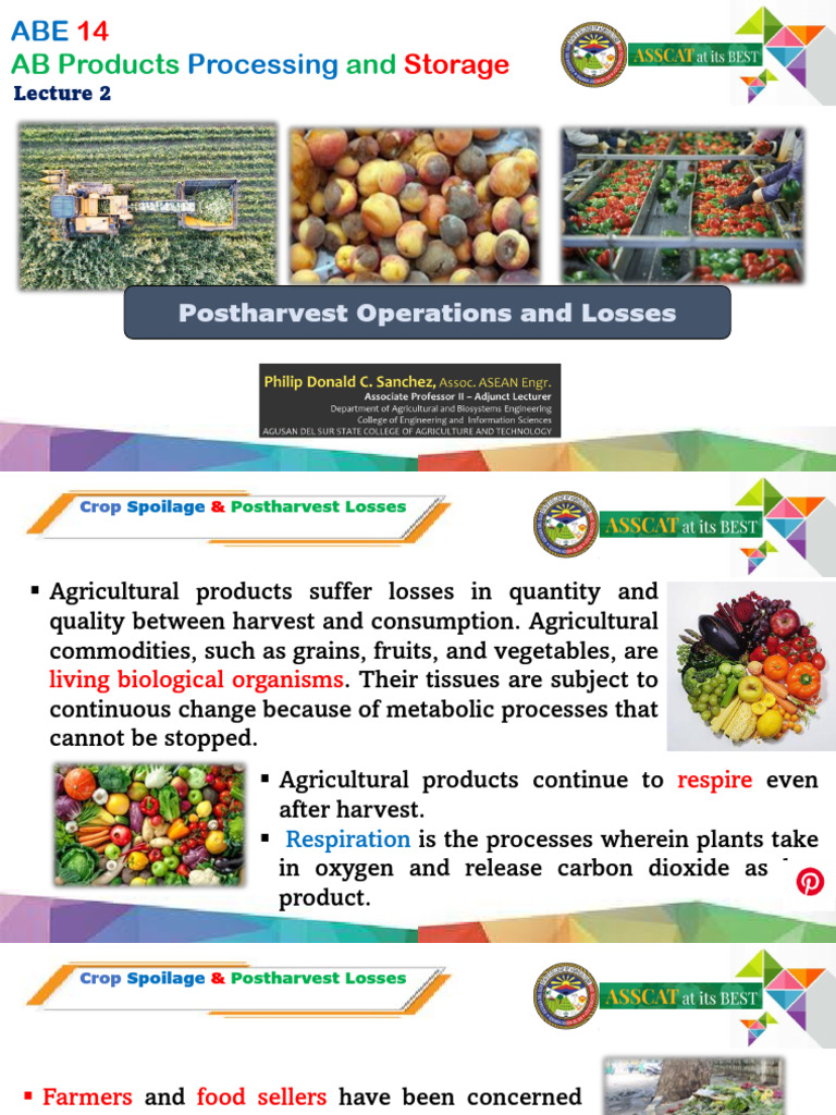 Lecture 2 - Postharvest Operations and Losses | PDF | Postharvest | Foods