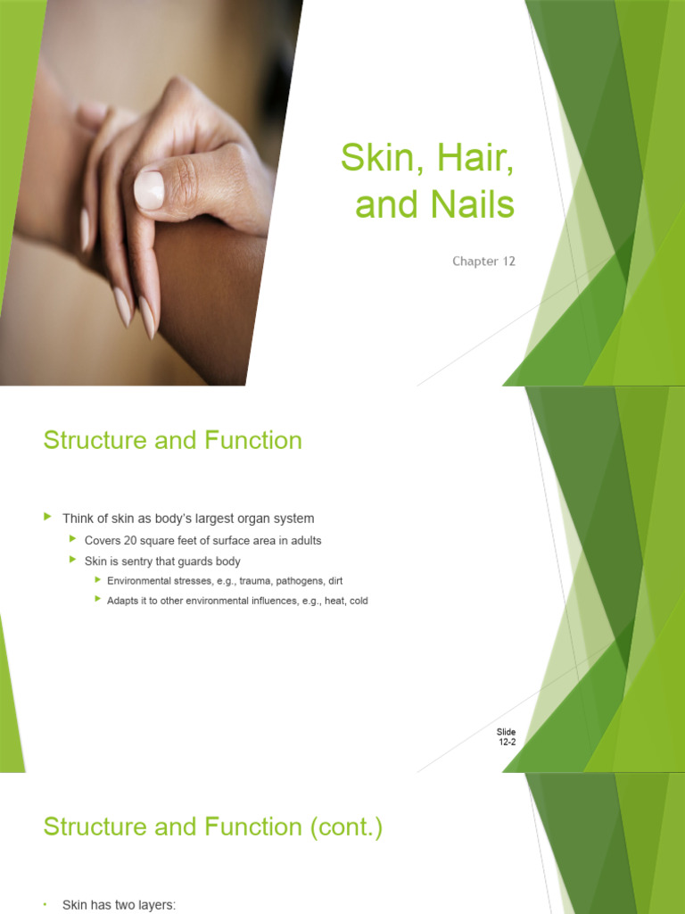 Chapter 22 Musculoskeletal System Pdf Skin Dermatology