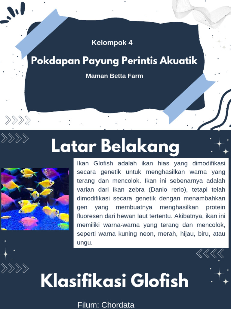Ikan Hias Kel 4 BDP 4A | PDF