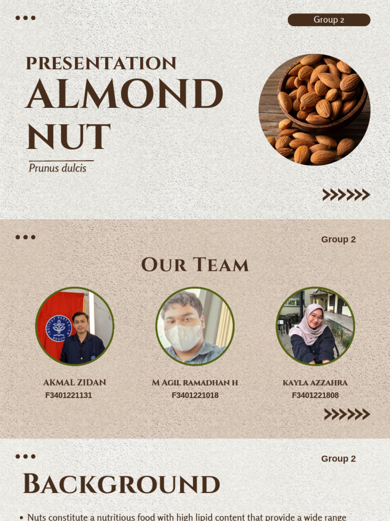 Ppt-KelasK3-Kelompok2-Almonds | PDF | Almond | Nut (Fruit)
