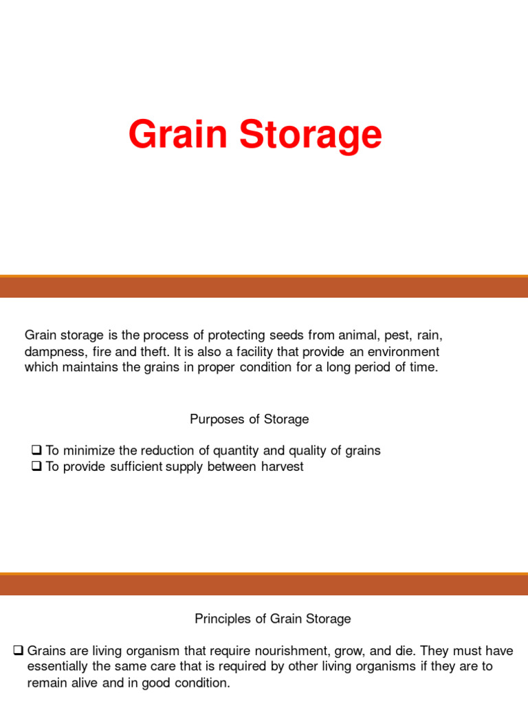 Lecture 7.1. - Grain Storage | PDF | Rice | Seed