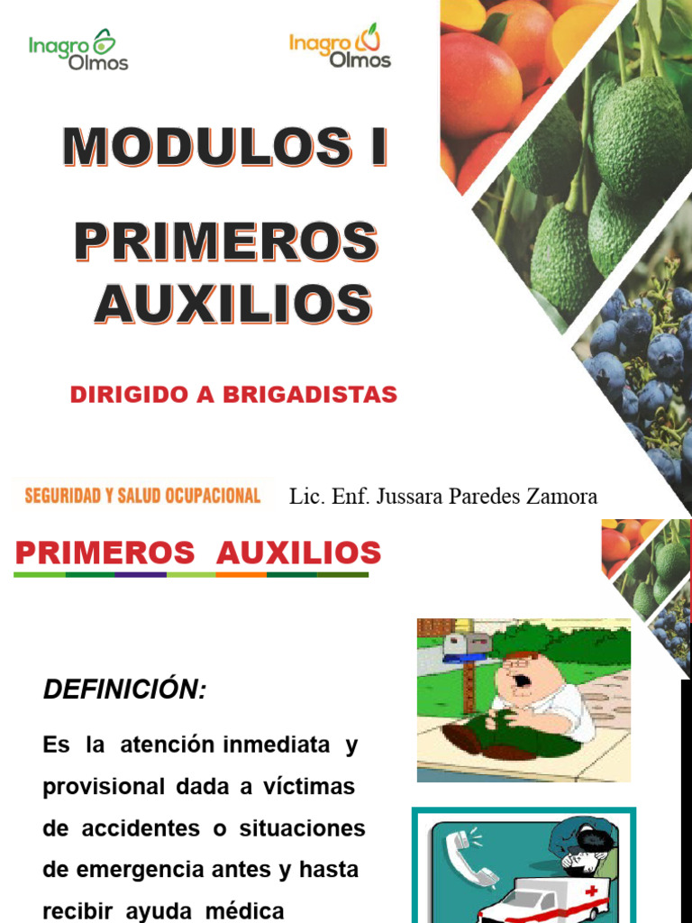 Primeros Auxilios en Salud Ocupacional | Descargar gratis PDF ...