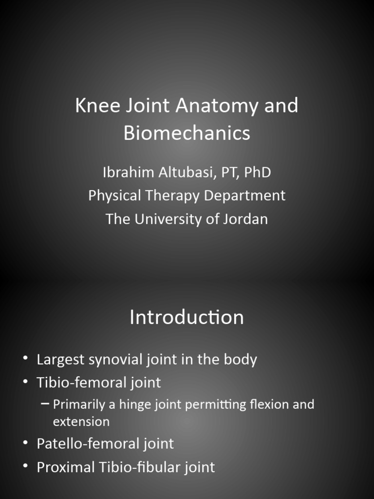 Knee Joint Anatomy and Function Overview | PDF | Knee | Soft Tissue