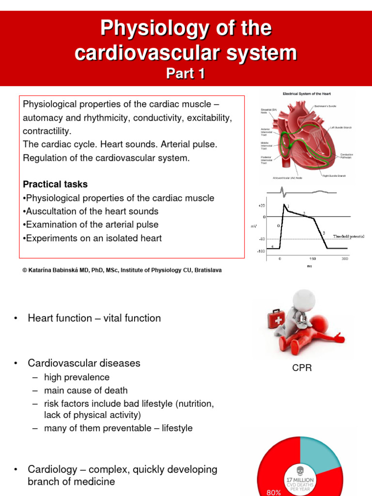 CVS 1 1819 Practical | PDF | Heart Valve | Diastole