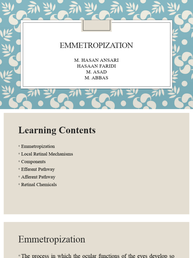 EMMETROPIZATION | PDF