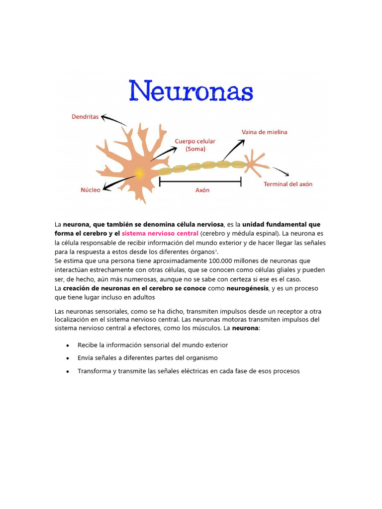 Imprimir Neuronas | PDF