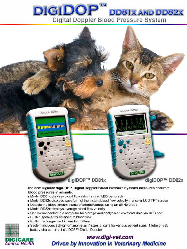 Brochure digiDOP Rev 1 | PDF