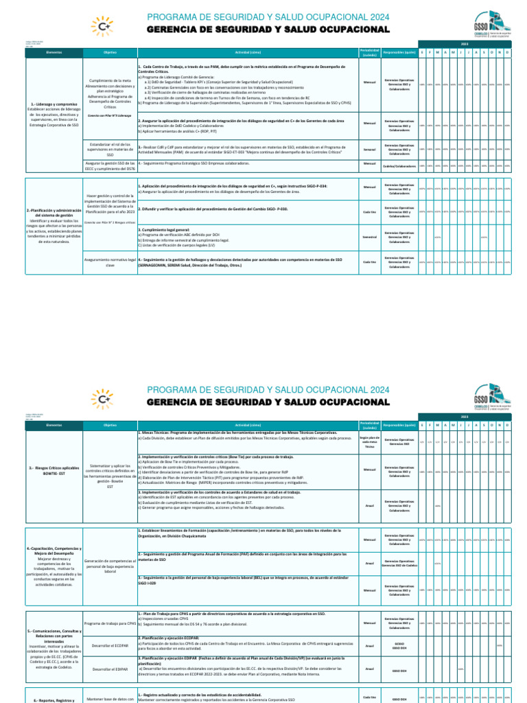 Programa SSO 2024: Seguridad y Salud Ocupacional | PDF | Seguridad y ...