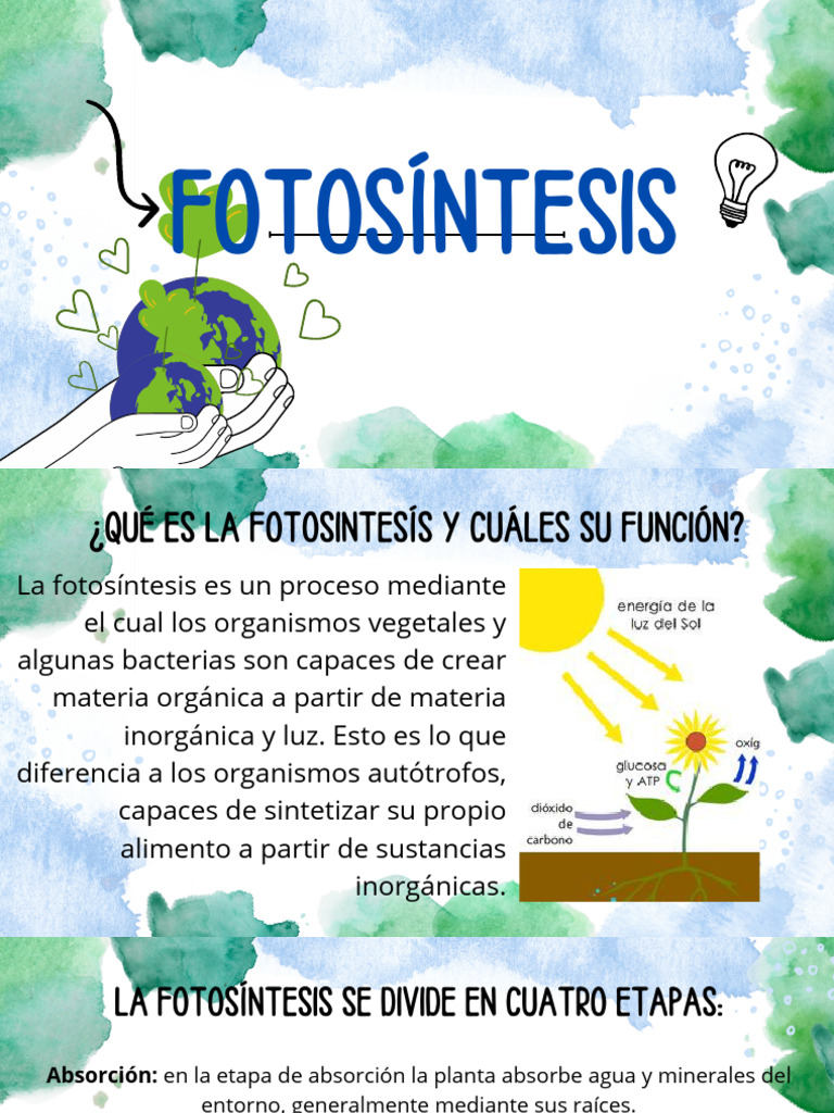 Presentación Fotosintesis | Descargar gratis PDF | Fotosíntesis | Plantas